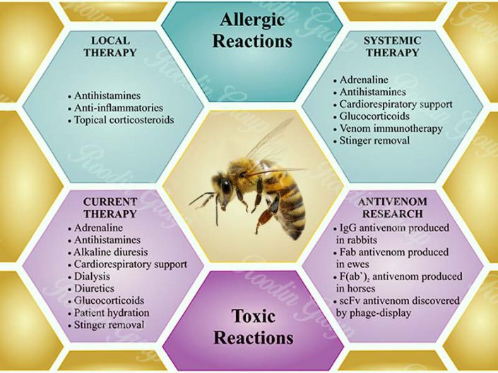 bee venom buyers | Roodin Group Co. ,Ltd